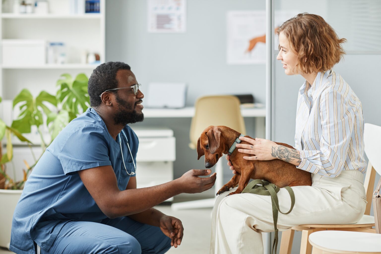 Veterinarians in Verona & Montclair | Animal Hospital